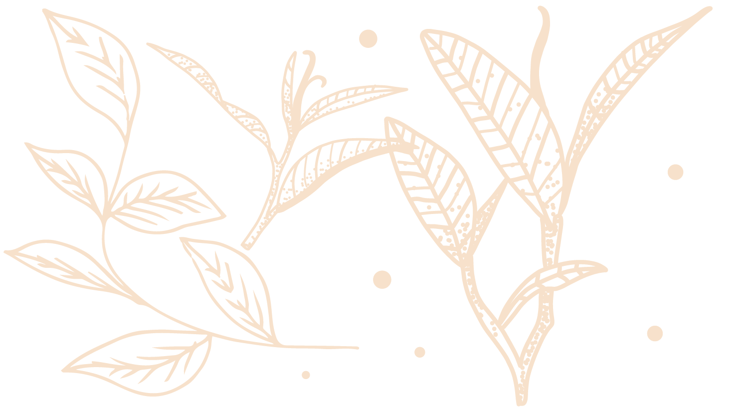 Chai Waale - Create Memories over the best cup of Chai